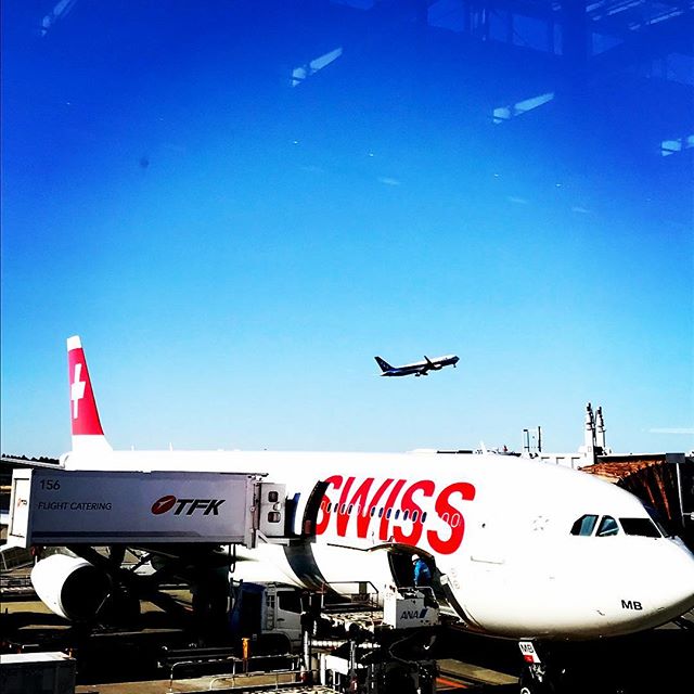 HASSIN広報, HASSIN 作成者